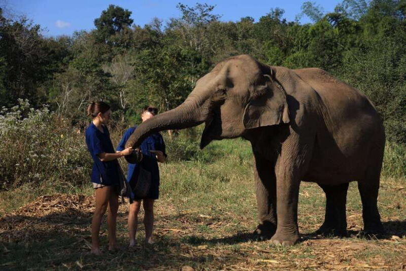 From Chiang Mai: Living Green Elephant Sanctuary Tour - Practical Tips for Travelers
