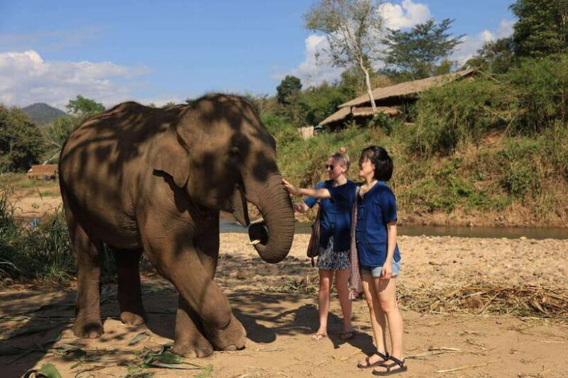From Chiang Mai: Living Green Elephant Sanctuary Tour - FAQ