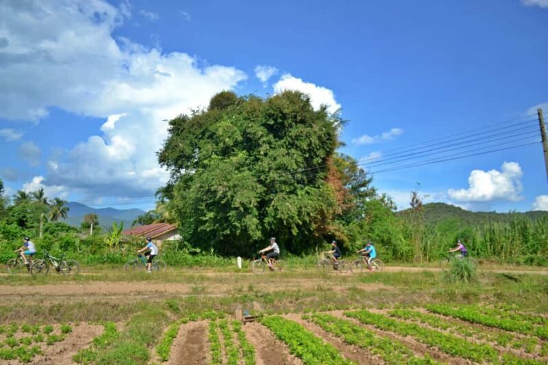 From Chiang Mai: Mae Taeng Valley Hike & Bike Day Trip - The Sum Up: Who Will Love This Tour?