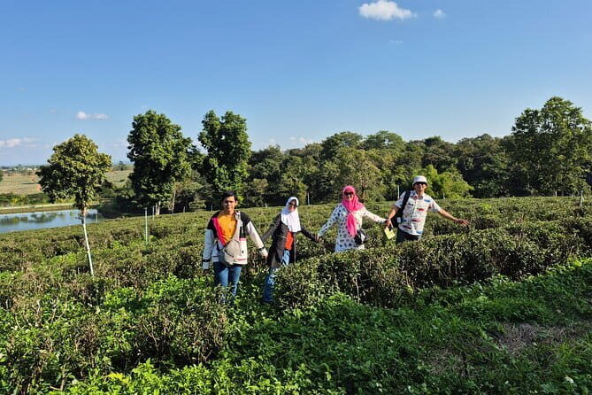 From Chiang Rai: 7 wonder Full-Day Tour and Thai Buffet lunch - Lunch and Logistics