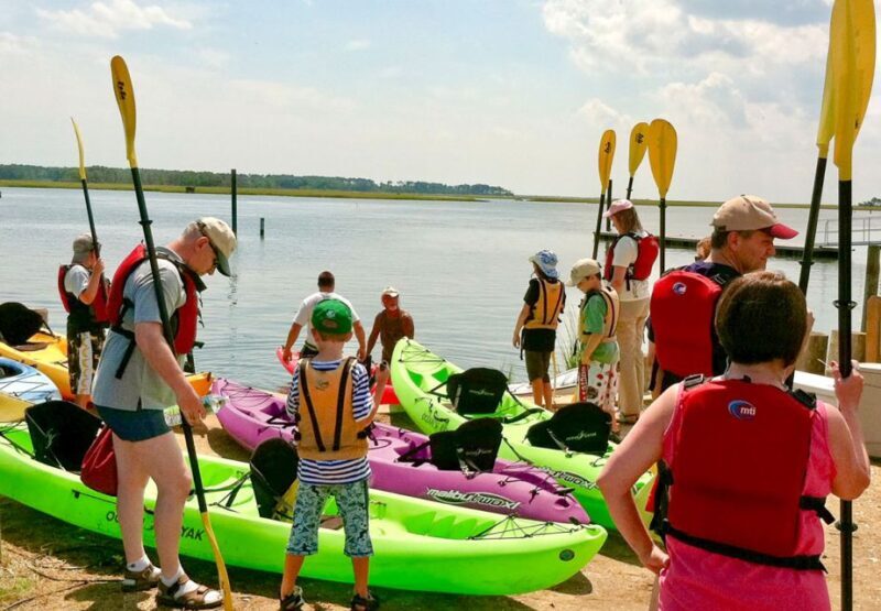 From Chincoteague: Guided Kayak Tour to Assateague Island - The Value of the Tour