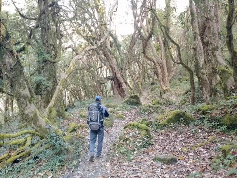 From Chitwan: 5-Day Poon Hill, Ghandruk Sunrise Trek - The Sum Up