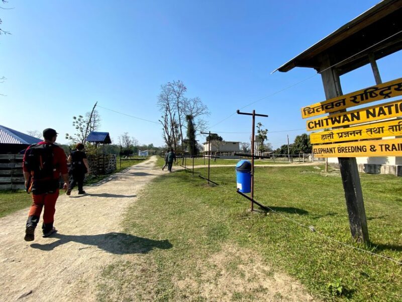 From Chitwan : Jeep Safari,Canoeing,Forest walk Day Tour - What to Expect: Practical Details