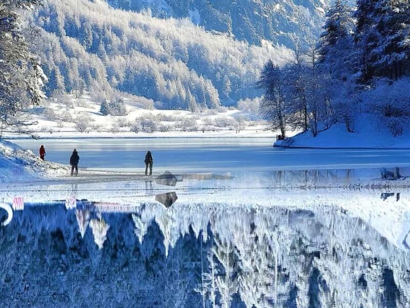 From Chongqing Winter 2-Day Bipenggou Snow Tour - Key Points