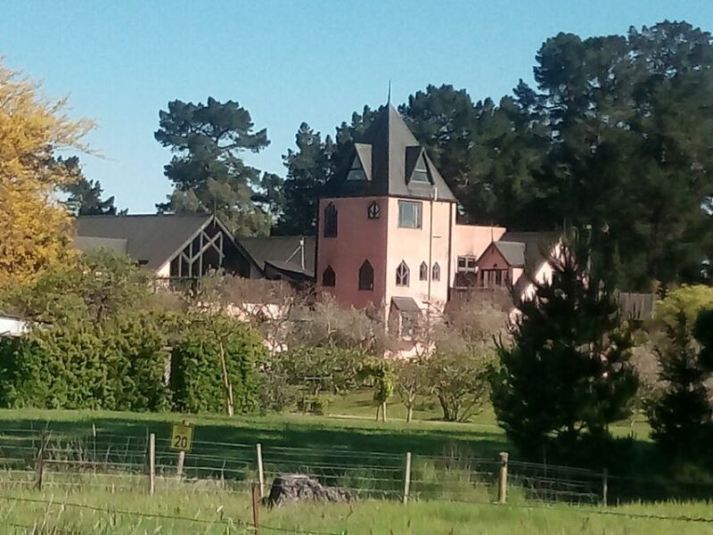 From Christchurch: Guided Local Wine Tours in Waipara - Practical Tips for Travelers