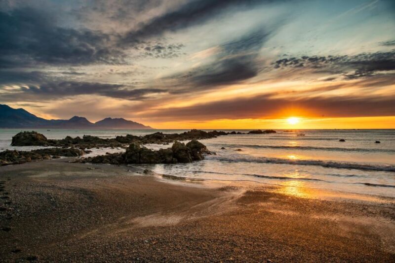 From Christchurch: Kaikura Day Tour With Dolphin Encounter - An Intro to the Kaikoura Day Tour Experience