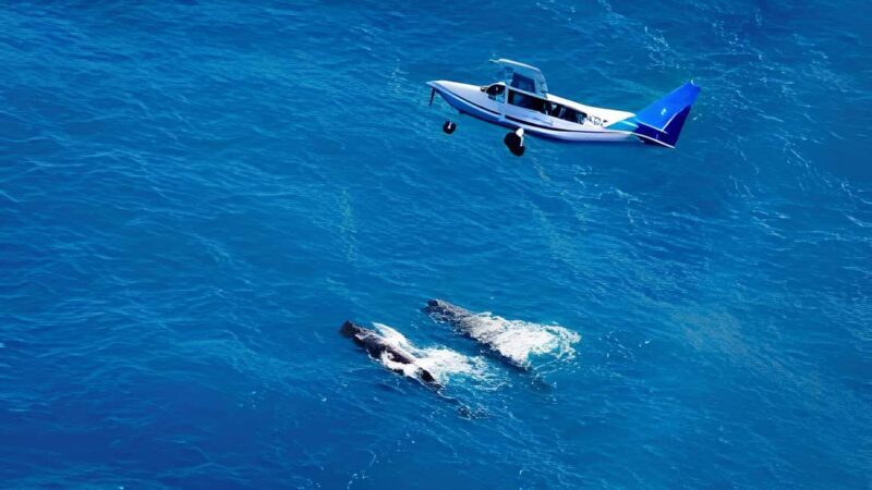From Christchurch: Private Kaikoura Tour with Guide - Key Points