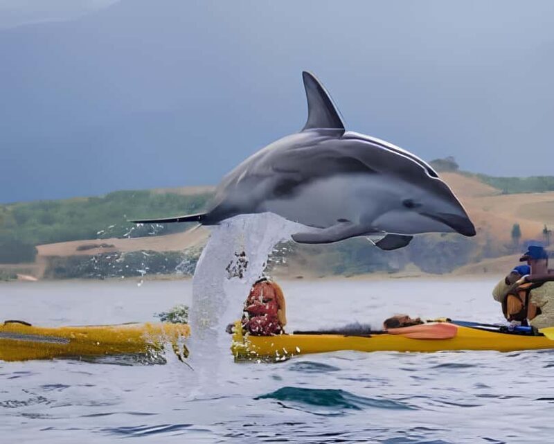 From Christchurch: Private Kaikoura Tour with Guide - The Kawhuta River Walk and Other Highlights
