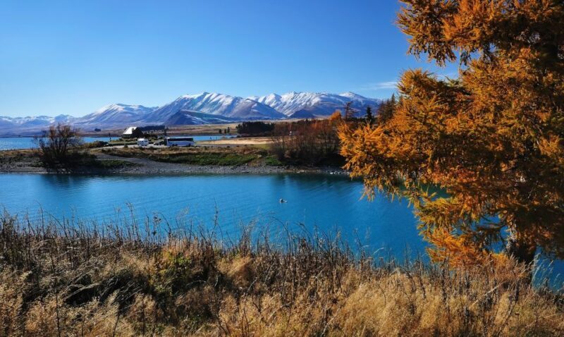 From Christchurch: Queenstown via Tekapo & Mt Cook Day Trip - How It Feels to Travel on This Tour