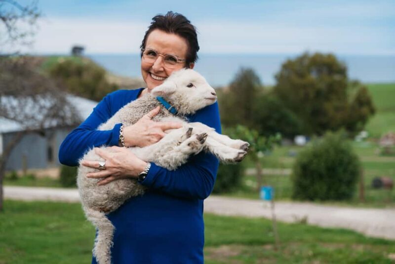 From Christchurch: Sheep Farm Day Trip with Lunch & Winery - An Authentic Kiwi Sheep Farm and Wineries Near Christchurch