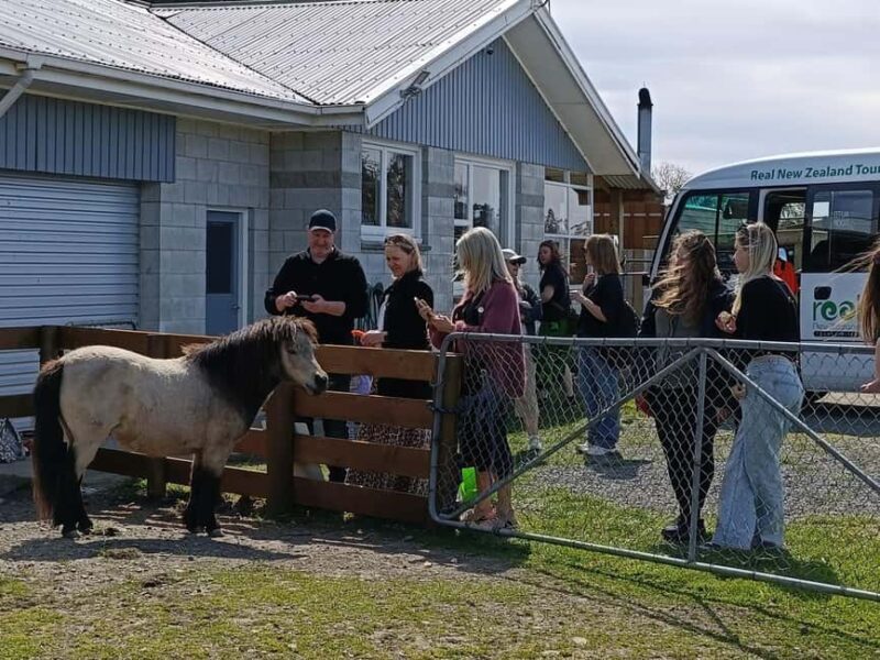 From Christchurch: Sheep Farm Day Trip with Lunch & Winery - Exploring Christchurch’s Highlights and Final Stroll