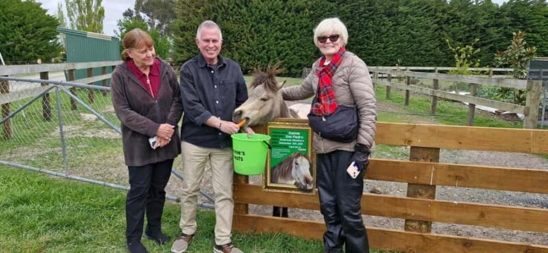 From Christchurch: Sheep Farm Experience with Lunch & Winery - An Introduction to the Tour