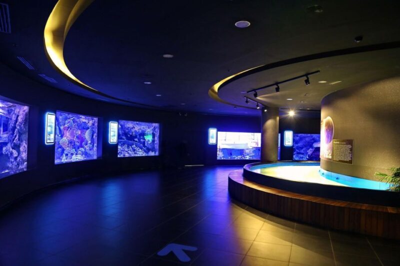From city of Side: Antalya Aquarium Full-Day Trip - Final Thoughts