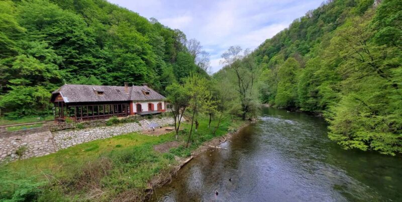 From Cluj: Gorges of Crisul Repede River - Final Thoughts: Who Should Consider This Experience?