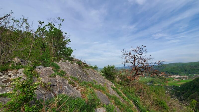 From Cluj: Gorges of Crisul Repede River - Key Points