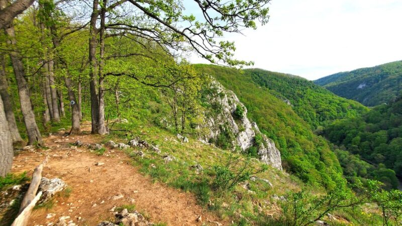 From Cluj: Gorges of Crisul Repede River - Detailed Breakdown of the Itinerary