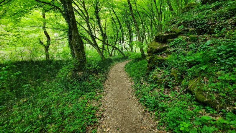 From Cluj: Gorges of Crisul Repede River - Practical Tips for the Trip