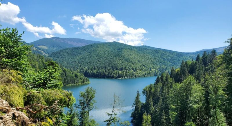 From Cluj: Mountain Bike around Lake Dragan - Key Points