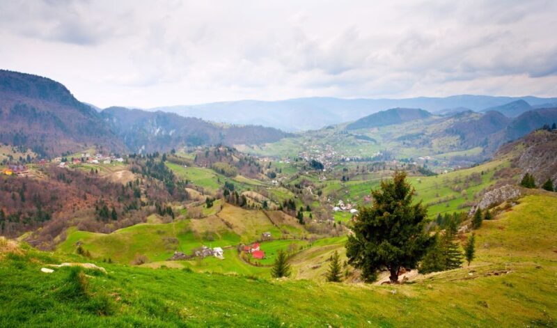 From Cluj-Napoca: 2-Day Bucovina & Painted Monasteries Tour - Discovering the Painted Monasteries of Bucovina