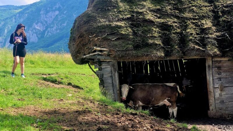 From Cluj-Napoca: Apuseni Mountains Hiking Guided Day Tour - Who will love this tour?