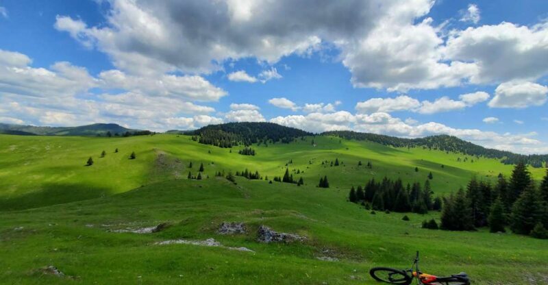 From Cluj-Napoca: Carpathian Mountains Guided Scenic Hike - An In-Depth Look at the Experience