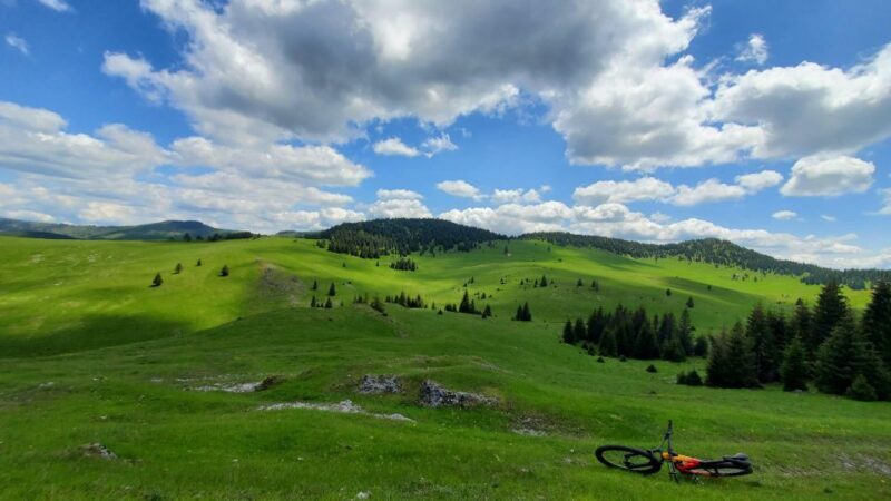 From Cluj-Napoca: Carpathian Mountains Guided Scenic Hike - Who Should Consider This Tour?