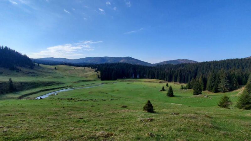 From Cluj-Napoca: Carpathian Mountains Guided Scenic Hike - FAQ