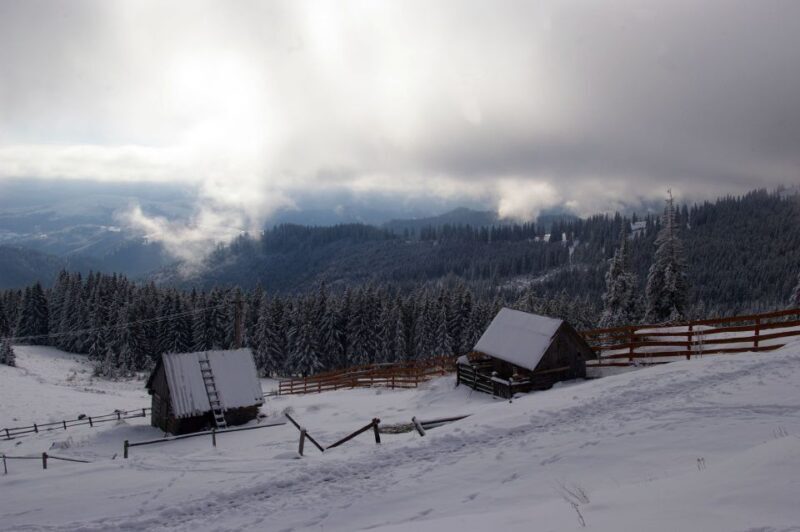 From Cluj-Napoca: Day Hike to Vldeasa Peak - A Deep Dive into the Experience