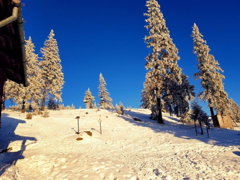 From Cluj-Napoca: Day Hike to Vldeasa Peak - Who Should Consider This Tour?