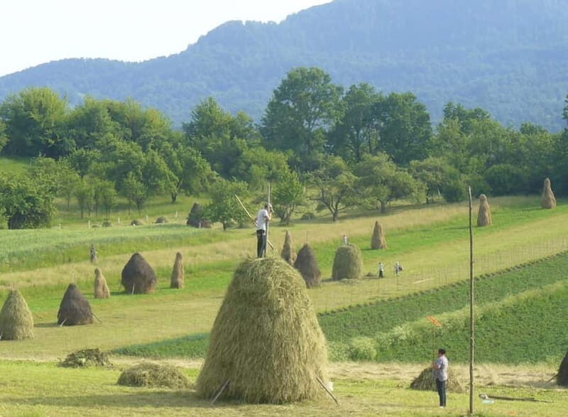 From Cluj-Napoca: Maramure 3-Day Tour with Accommodation - Practical Details: Value and Logistics