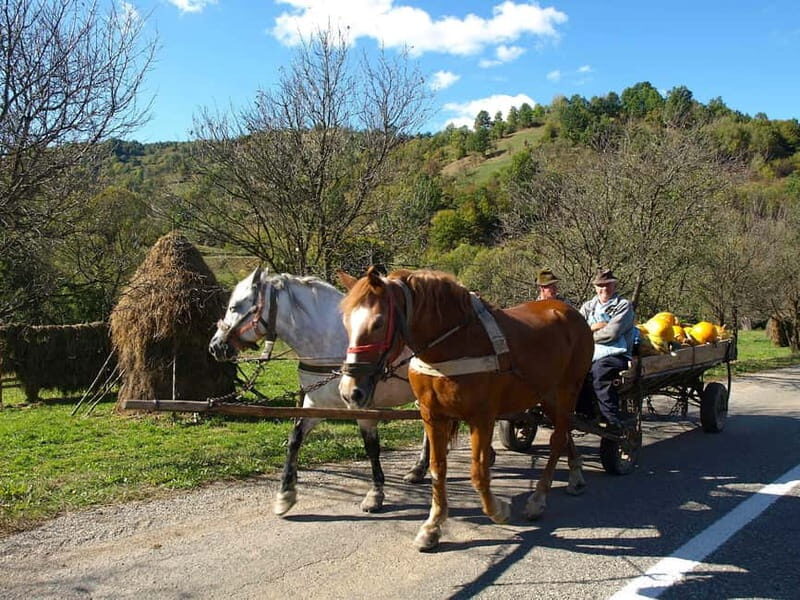 From Cluj-Napoca: Maramure 3-Day Tour with Accommodation - FAQs
