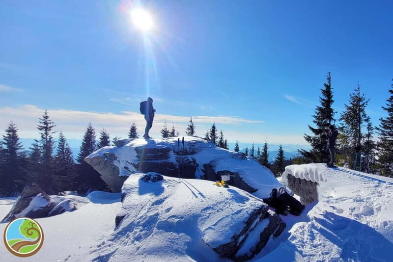 From Cluj: Winter Walking Trip on the Great Mountain - An In-Depth Look at the Tour Experience