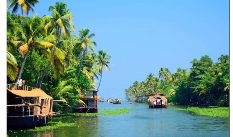From Cochin: 5-Day Kerala Munnar, Thekkady, & Alleppey Tour - What the Visit Means for You