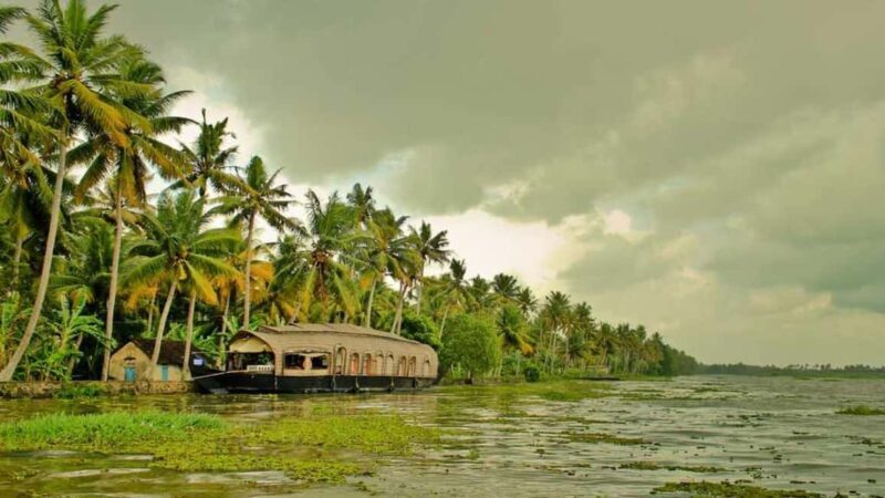 From Cochin : Alleppey Houseboat day cruise - Round trip - A Friendly Look at the Kerala Backwaters Experience