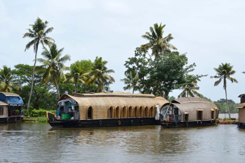 From Cochin: Alleppey Houseboat Day Tour with Lunch - An In-Depth Look at the Experience