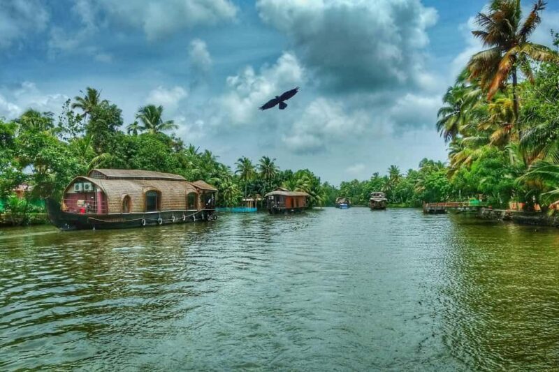 From Cochin: Alleppey Houseboat Day Tour with Lunch - Why This Tour Works Well for Travelers