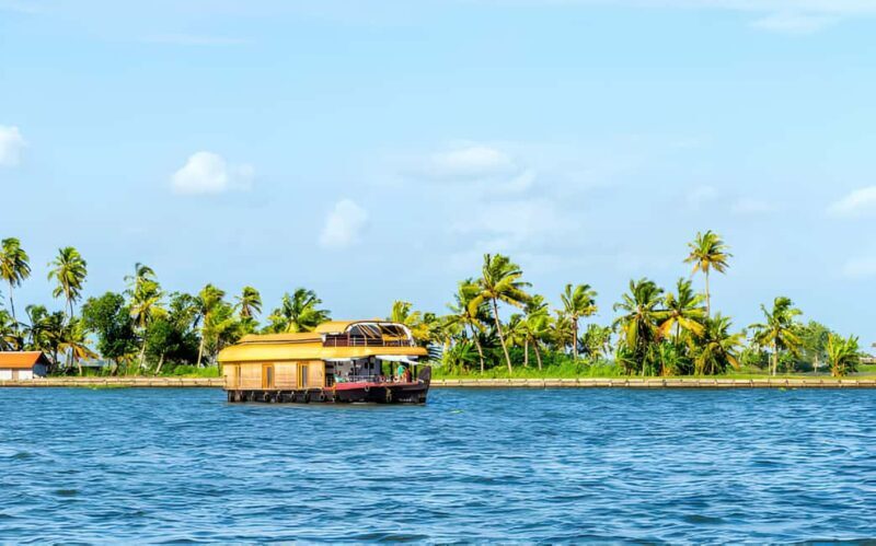 From Cochin: Day Tour of Alleppey houseboat with Lunch - An In-Depth Look at the Tour