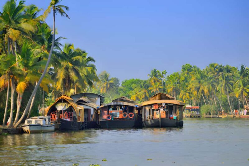 From Cochin: Day Tour of Alleppey houseboat with Lunch - The Sum Up