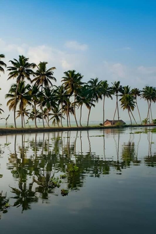 From Cochin Guided Tour of Fort Kochi with Drop at Kumarakom - Key Points