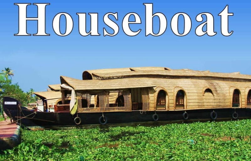 From Cochin Port: Backwater Cruise and Chinese Nets - Who Will Love This Tour?
