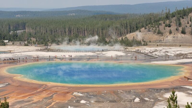 From Cody: Full-Day Yellowstone National Park Tour - FAQ