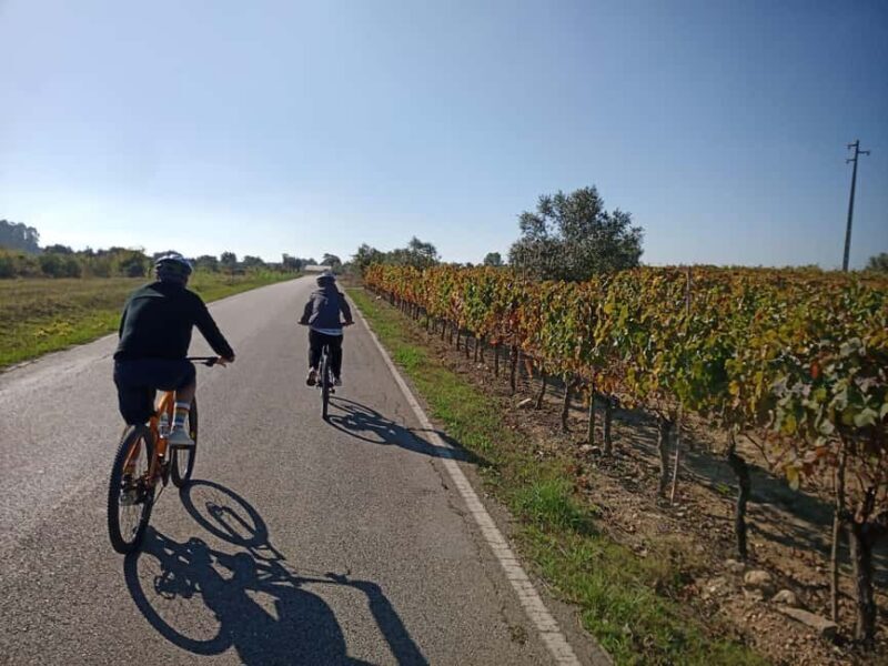 From Coimbra: Cycling in the Vineyards of Bairrada - Exploring the Bairrada Vineyards: What the Tour Offers