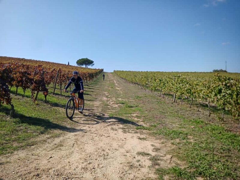 From Coimbra: Cycling in the Vineyards of Bairrada - The Sum Up: Who Will Get the Most Out of This Experience?