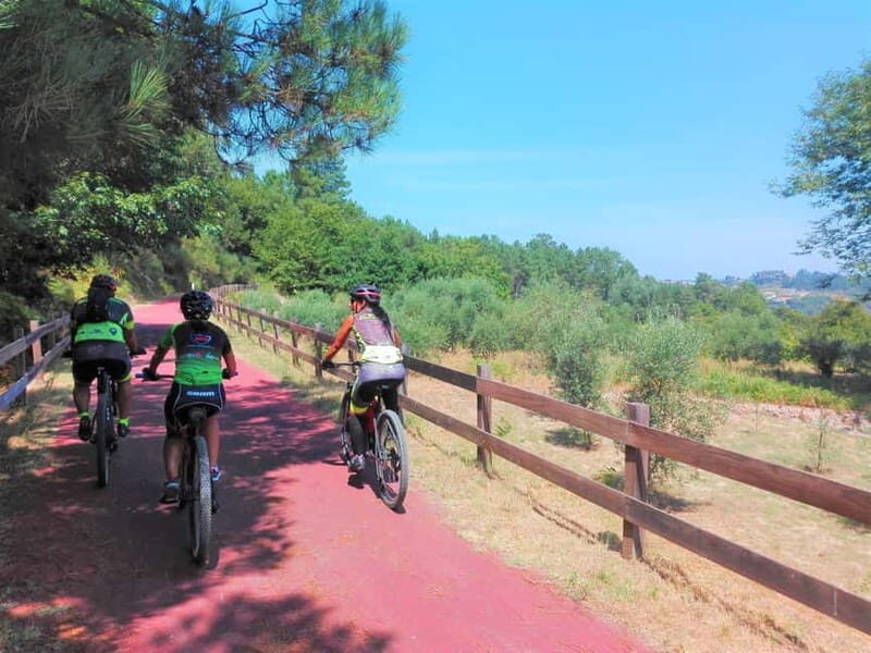 From Coimbra: Cycling on the Dão Ecotrail - The Bikes and Gear