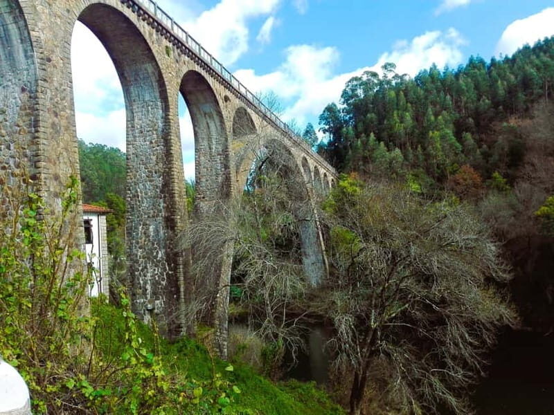 From Coimbra: Ecopista do Vouga cycling route - What to Expect: The Ride, Views, and Comfort