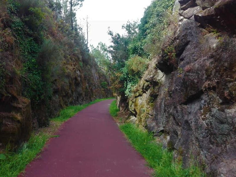 From Coimbra: Ecopista do Vouga cycling route - Practicalities: Timing, Support, and Cost