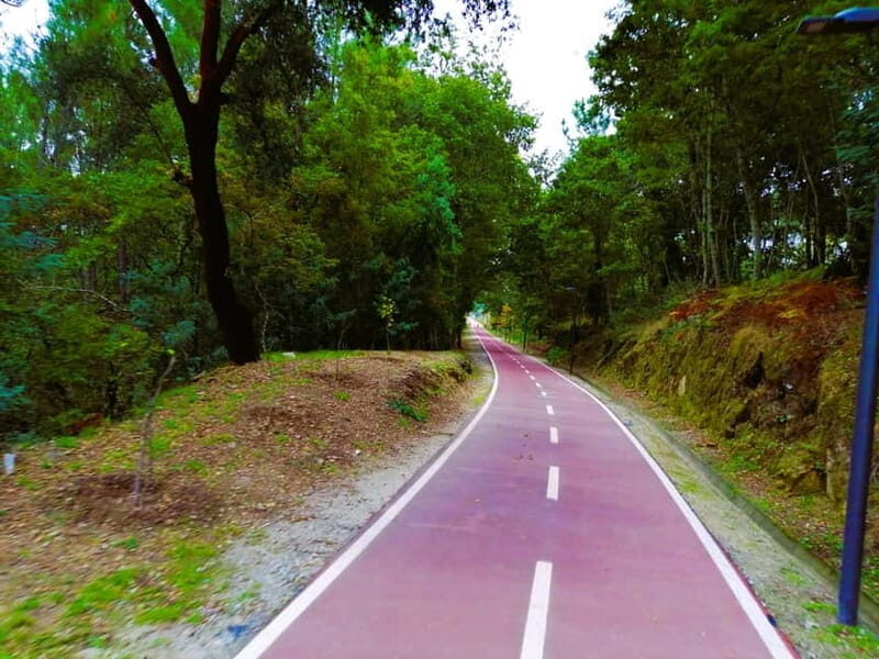 From Coimbra: Ecopista do Vouga cycling route - Why This Tour Is a Great Choice