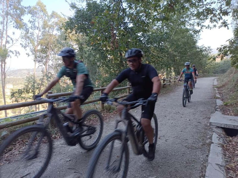 From Coimbra: Ecopista do Vouga cycling route - Who Should Consider This Tour?