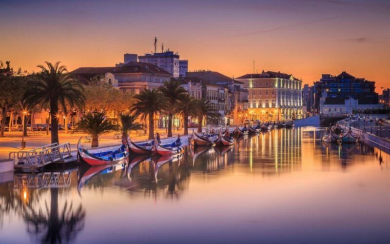 From Coimbra: Porto, Aveiro and Douro in Private with Tasting and Cruise - Introduction: Why Choose This Tour?