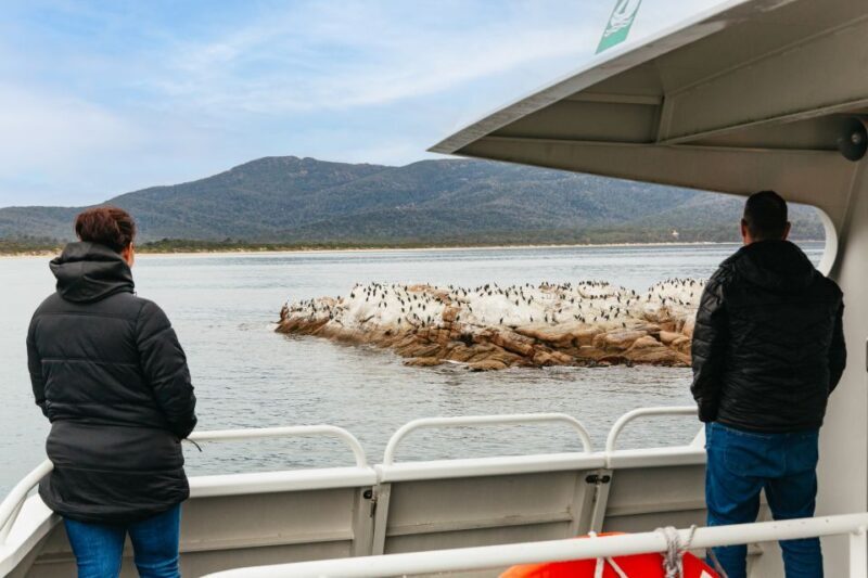 From Coles Bay: Wineglass Bay Cruise with Lunch - Who Should Consider This Tour?